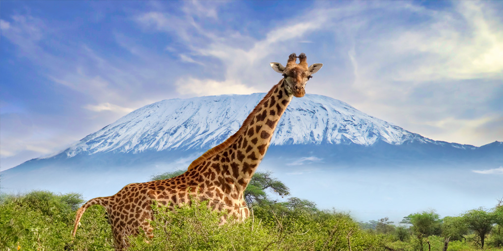 Boundless Teens - BoundlessBoundless