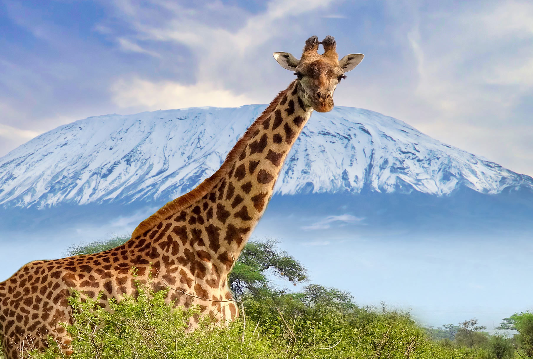 The Ultimate Climb - BoundlessBoundless